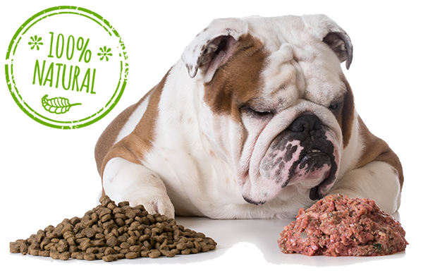 Natural Dog Barf